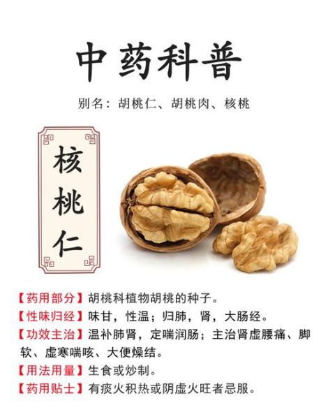山核桃仁的功效与作用_山核桃仁的禁忌人群-第1张图片-山城妙识 山核桃仁的功效与作用_山核桃仁的禁忌人群-第1张图片-山城妙识
