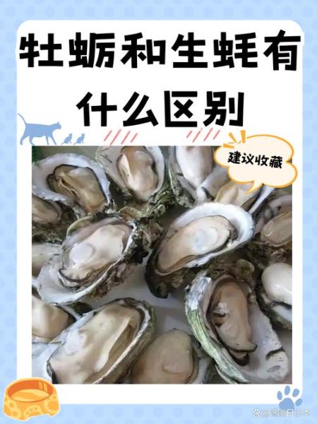 生牡蛎和煅牡蛎的区别_生牡蛎和煅牡蛎哪个好-第1张图片-山城妙识