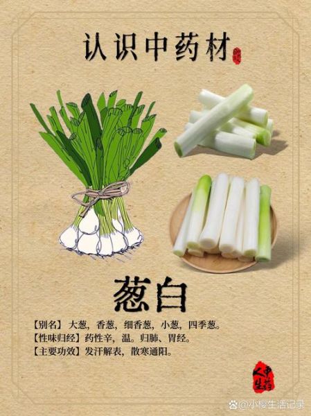 葱白图片_葱白长什么样-第1张图片-山城妙识