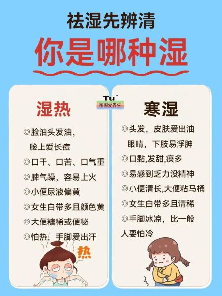 清热祛湿颗粒适合哪些人_湿热体质怎么判断-第1张图片-山城妙识