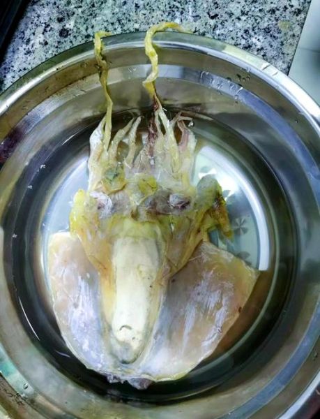 墨鱼怎么清洗_墨鱼清洗内脏技巧-第2张图片-山城妙识 墨鱼怎么清洗_墨鱼清洗内脏技巧-第2张图片-山城妙识