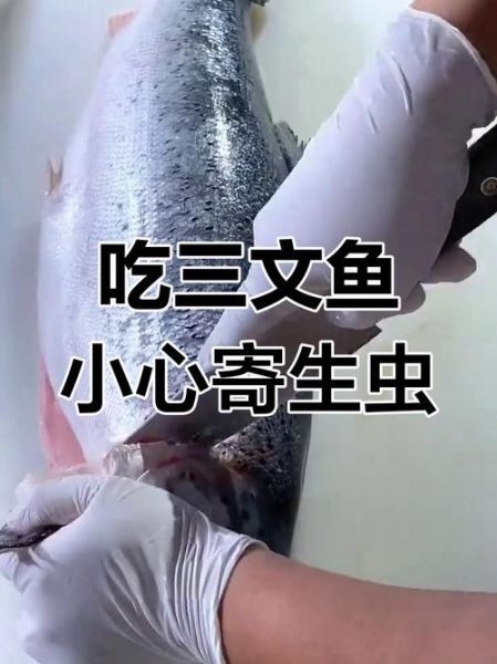 三文鱼有寄生虫吗_生吃三文鱼安全吗-第1张图片-山城妙识 三文鱼有寄生虫吗_生吃三文鱼安全吗-第1张图片-山城妙识