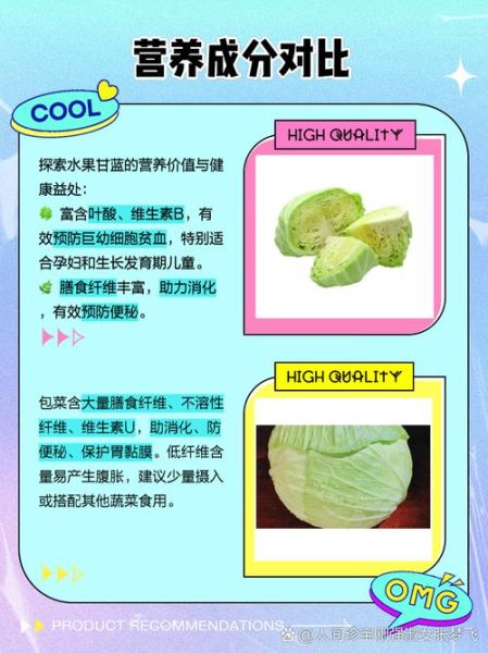 甘蓝和包菜的区别_哪个营养价值更高-第1张图片-山城妙识 甘蓝和包菜的区别_哪个营养价值更高-第1张图片-山城妙识