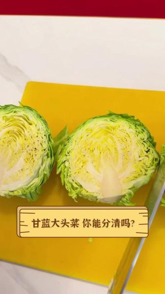 甘蓝和包菜的区别_哪个营养价值更高-第3张图片-山城妙识 甘蓝和包菜的区别_哪个营养价值更高-第3张图片-山城妙识