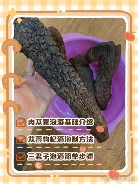 肉苁蓉泡水喝的正确步骤_肉苁蓉泡水一天喝几次-第1张图片-山城妙识 肉苁蓉泡水喝的正确步骤_肉苁蓉泡水一天喝几次-第1张图片-山城妙识