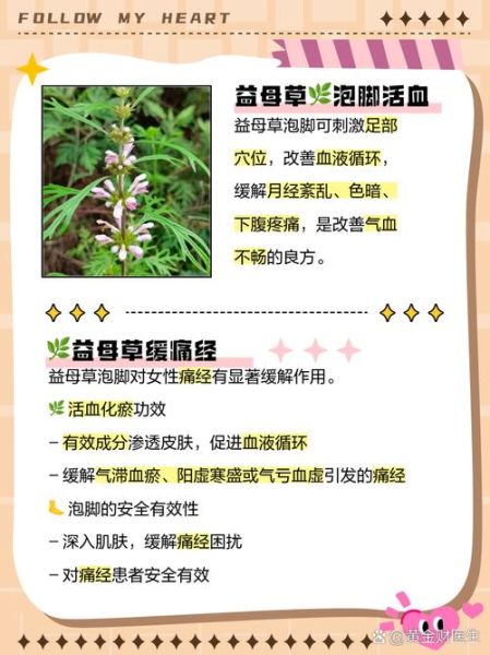 益母草的功效与作用_益母草主治哪些妇科病-第1张图片-山城妙识