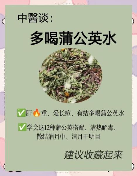 蒲公英泡水喝的功效与禁忌_蒲公英根茶副作用有哪些-第1张图片-山城妙识