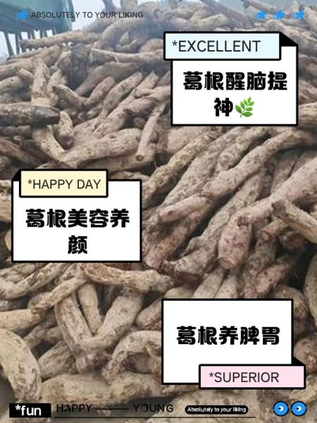 葛根能降血糖吗_葛根怎么吃最有效-第1张图片-山城妙识