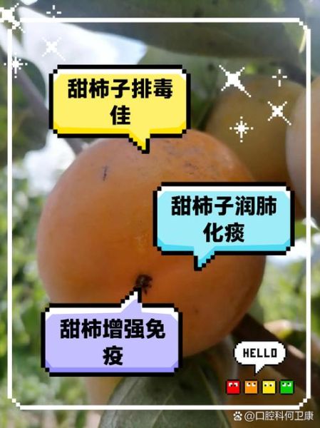 甜柿子有什么功效_甜柿子的作用与禁忌-第1张图片-山城妙识