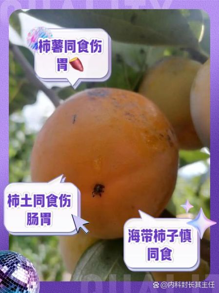 甜柿子有什么功效_甜柿子的作用与禁忌-第2张图片-山城妙识