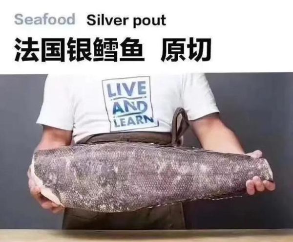 银鳕鱼长什么样_银鳕鱼图片大全怎么辨别真假-第1张图片-山城妙识 银鳕鱼长什么样_银鳕鱼图片大全怎么辨别真假-第1张图片-山城妙识