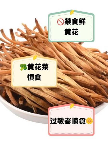 哪些人不能吃黄花菜_黄花菜禁忌人群有哪些-第1张图片-山城妙识