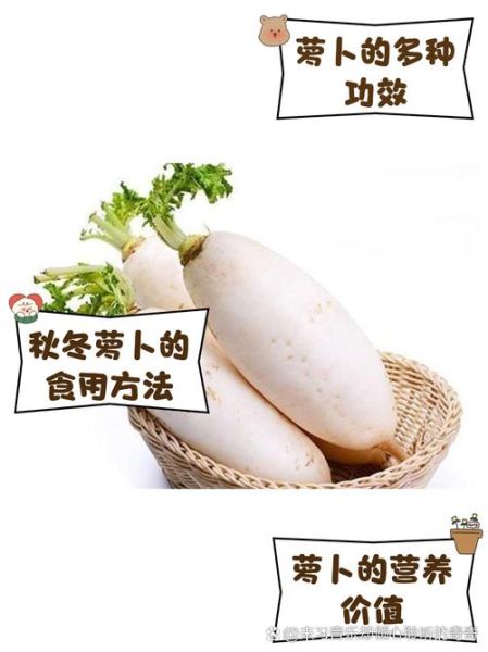 蔬菜人参是什么_蔬菜人参怎么吃-第1张图片-山城妙识