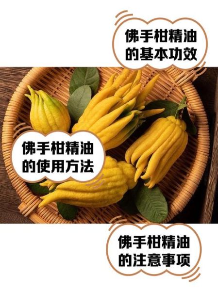 佛手柑精油味道像什么_佛手柑精油好闻吗-第1张图片-山城妙识