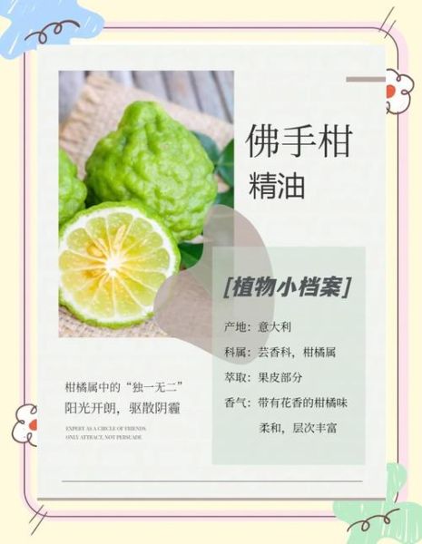佛手柑精油味道像什么_佛手柑精油好闻吗-第2张图片-山城妙识