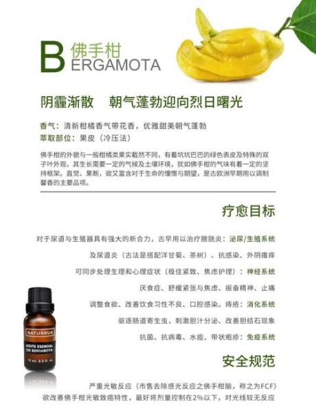 佛手柑精油味道像什么_佛手柑精油好闻吗-第3张图片-山城妙识
