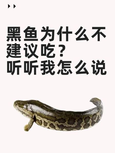98年黑鱼吃人事件真相_黑鱼会攻击人类吗-第1张图片-山城妙识