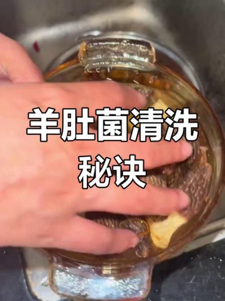 羊肚怎么清洗_羊肚清洗方法-第3张图片-山城妙识