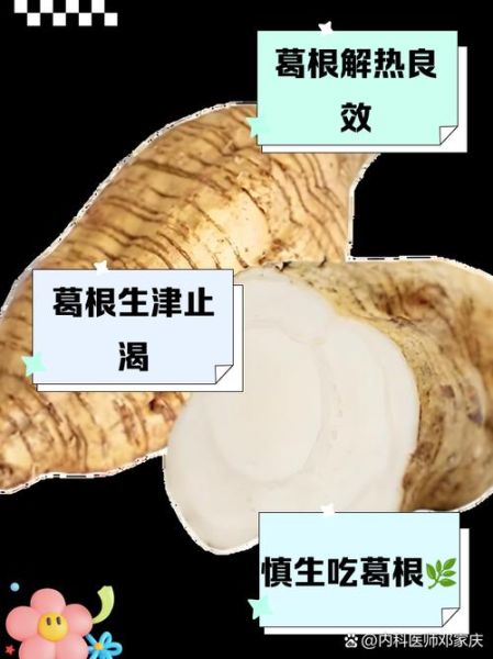 沙葛生吃有毒吗_沙葛生吃怎么去皮-第1张图片-山城妙识