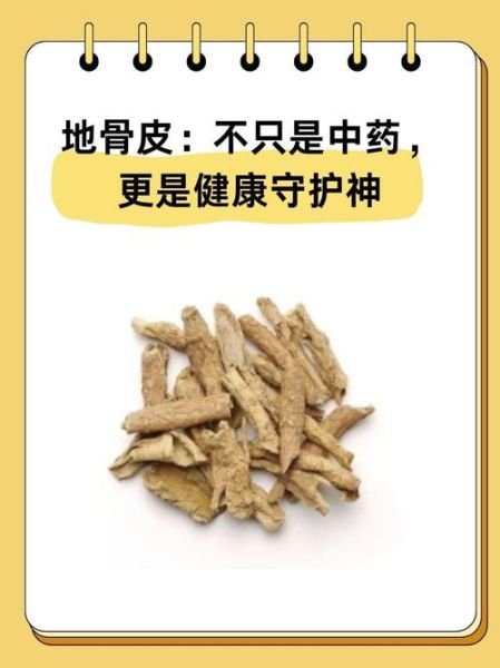 地骨皮的功效与作用_地骨皮主治哪些病-第2张图片-山城妙识