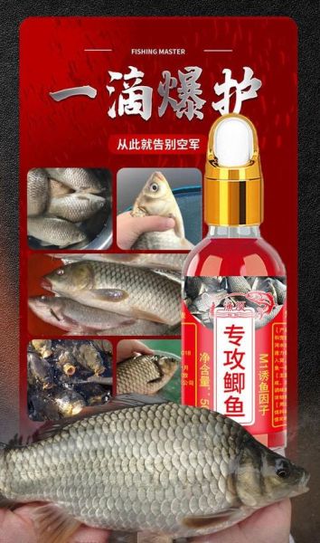 野钓鲫鱼最佳配方_用什么饵料最好-第3张图片-山城妙识