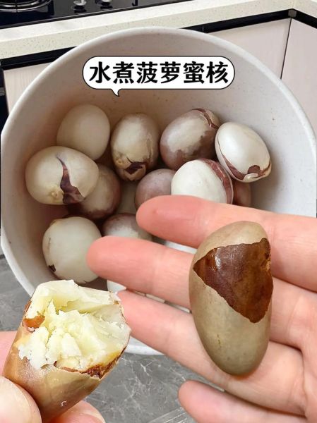 菠萝蜜核的功效与作用_菠萝蜜核的禁忌有哪些-第1张图片-山城妙识 菠萝蜜核的功效与作用_菠萝蜜核的禁忌有哪些-第1张图片-山城妙识