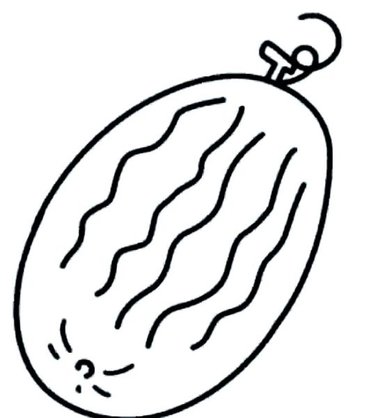 哈密瓜简笔画怎么画_哈密瓜卡通画法步骤-第2张图片-山城妙识 哈密瓜简笔画怎么画_哈密瓜卡通画法步骤-第2张图片-山城妙识