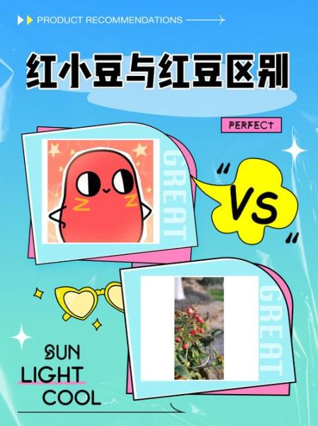 红豆视频怎么找回_红豆视频账号找回方法-第1张图片-山城妙识 红豆视频怎么找回_红豆视频账号找回方法-第1张图片-山城妙识