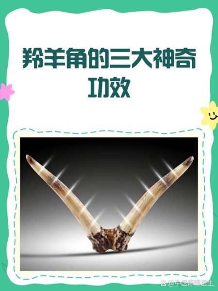羚羊角的功效与作用禁忌_哪些人不能吃-第2张图片-山城妙识