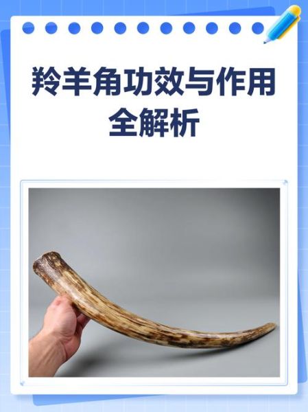 羚羊角的功效与作用禁忌_哪些人不能吃-第3张图片-山城妙识