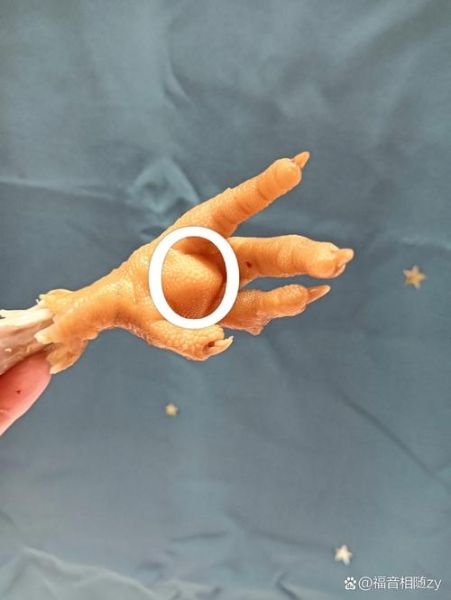 鸡脚的营养价值_吃鸡脚能补充胶原蛋白吗-第2张图片-山城妙识 鸡脚的营养价值_吃鸡脚能补充胶原蛋白吗-第2张图片-山城妙识