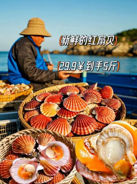 鲜贝和扇贝是一种东西吗_鲜贝与扇贝区别-第1张图片-山城妙识