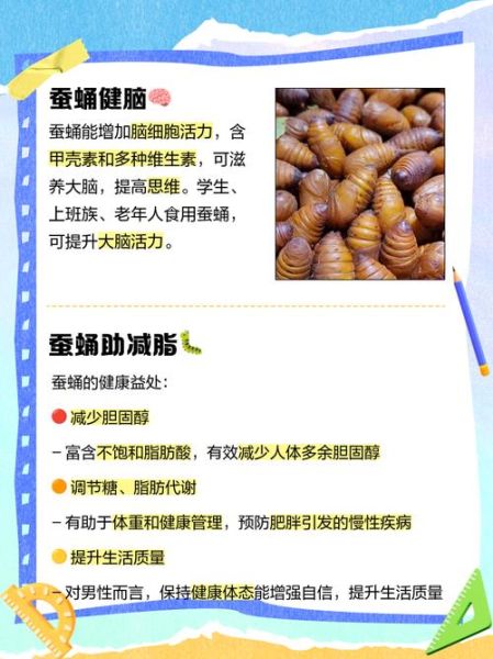 蚕蛹的功效与作用_蚕蛹的副作用有哪些-第1张图片-山城妙识