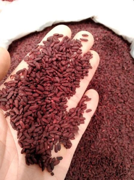 红曲米是什么做的_红曲米原料有哪些-第2张图片-山城妙识