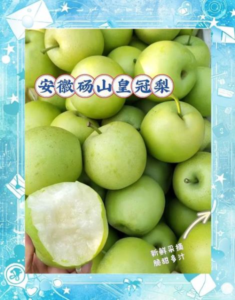 皇冠梨的功效与作用_皇冠梨怎么吃最润肺-第2张图片-山城妙识