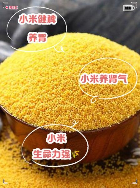 中医为什么不让吃小米_小米性寒真相-第2张图片-山城妙识 中医为什么不让吃小米_小米性寒真相-第2张图片-山城妙识