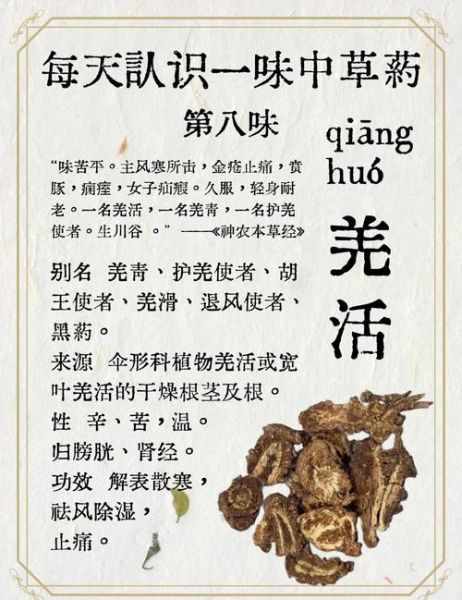 羌活的功效与作用及禁忌_什么人不能吃羌活-第1张图片-山城妙识 羌活的功效与作用及禁忌_什么人不能吃羌活-第1张图片-山城妙识