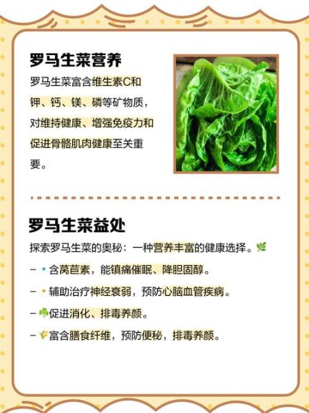 生菜的功效与禁忌_哪些人不能吃生菜-第3张图片-山城妙识 生菜的功效与禁忌_哪些人不能吃生菜-第3张图片-山城妙识