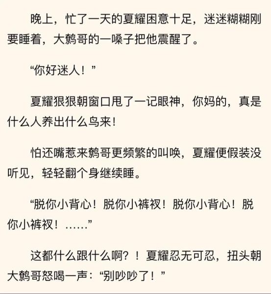 柴鸡蛋小说哪里看_柴鸡蛋小说推荐-第1张图片-山城妙识 柴鸡蛋小说哪里看_柴鸡蛋小说推荐-第1张图片-山城妙识