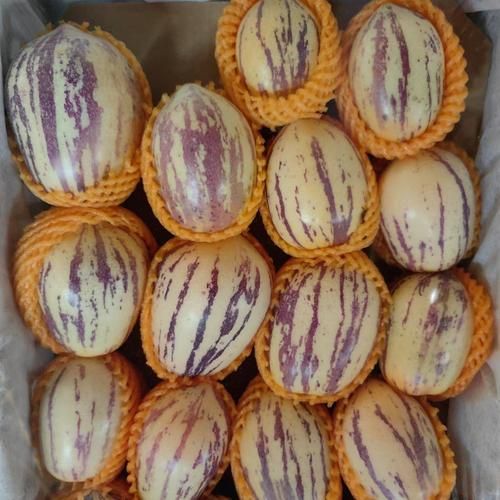 人参果长什么样子_人参果外形特征-第1张图片-山城妙识