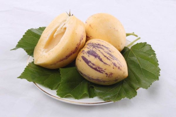 人参果长什么样子_人参果外形特征-第3张图片-山城妙识