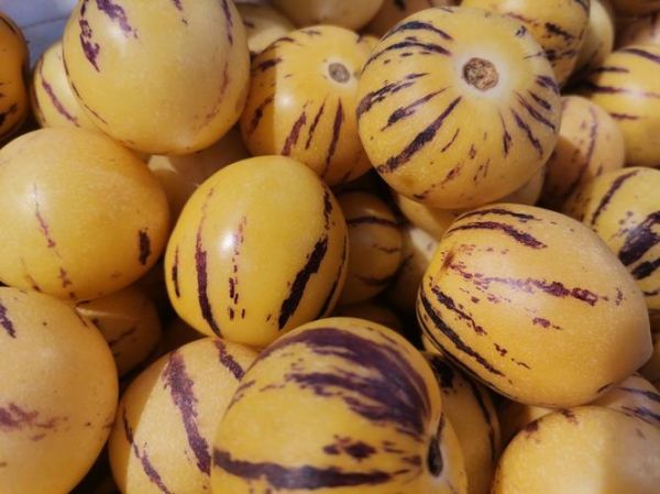 人参果长什么样子_人参果外形特征-第2张图片-山城妙识