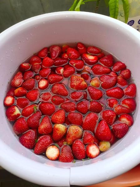 草莓酱怎么做草莓汁_草莓汁做法比例-第3张图片-山城妙识