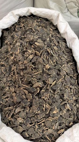 元参功效作用与主治_元参能治什么病-第2张图片-山城妙识