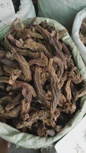 元参功效作用与主治_元参能治什么病-第1张图片-山城妙识