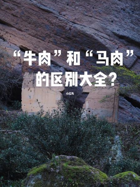 马肉与牛肉的区别_哪个更健康-第2张图片-山城妙识 马肉与牛肉的区别_哪个更健康-第2张图片-山城妙识