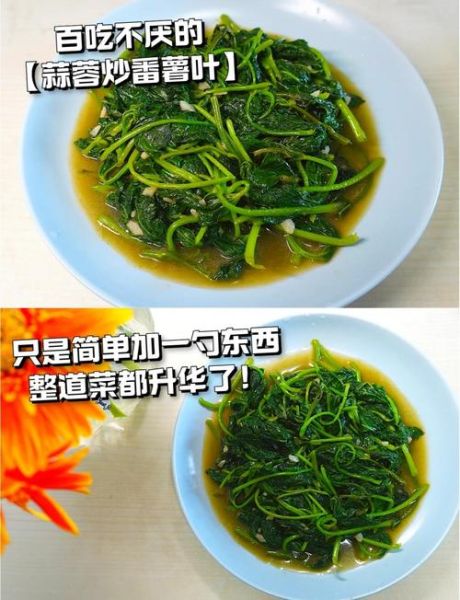 大连理工红烧土豆叶是什么_怎么做才好吃-第3张图片-山城妙识 大连理工红烧土豆叶是什么_怎么做才好吃-第3张图片-山城妙识
