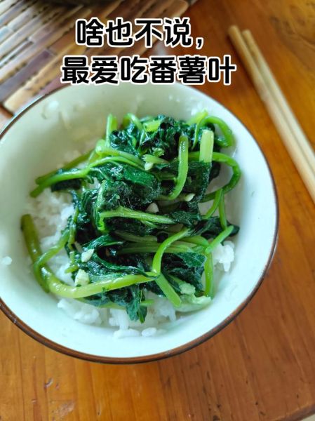 大连理工红烧土豆叶是什么_怎么做才好吃-第2张图片-山城妙识 大连理工红烧土豆叶是什么_怎么做才好吃-第2张图片-山城妙识