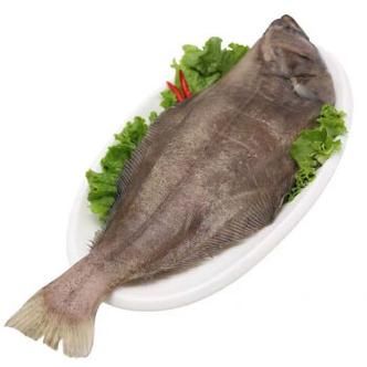 鸦片鱼一般多少斤_鸦片鱼一条几斤算正常-第2张图片-山城妙识