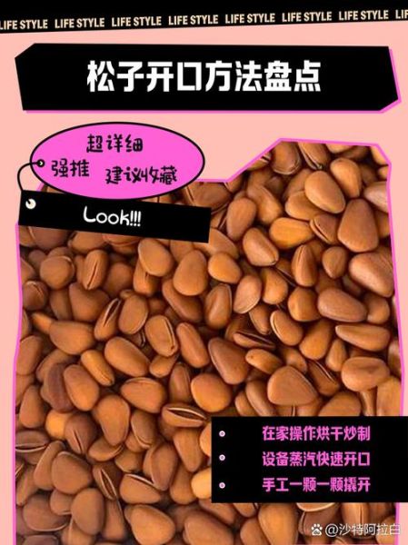 松子怎么开口_松子开口最简单的方法-第2张图片-山城妙识